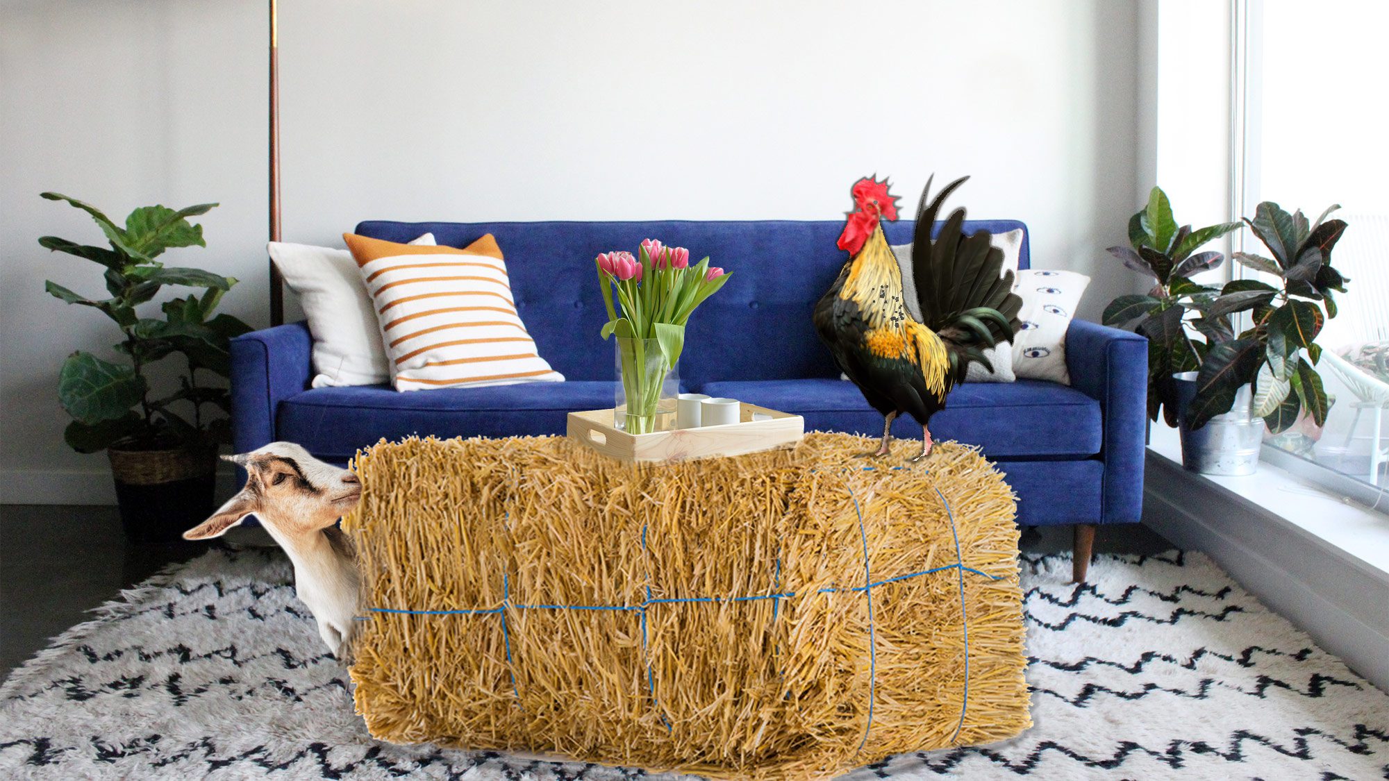 Kitchen Islands With Beds? Indoor Yards? 4 Hot New Home Trends Too Good ...