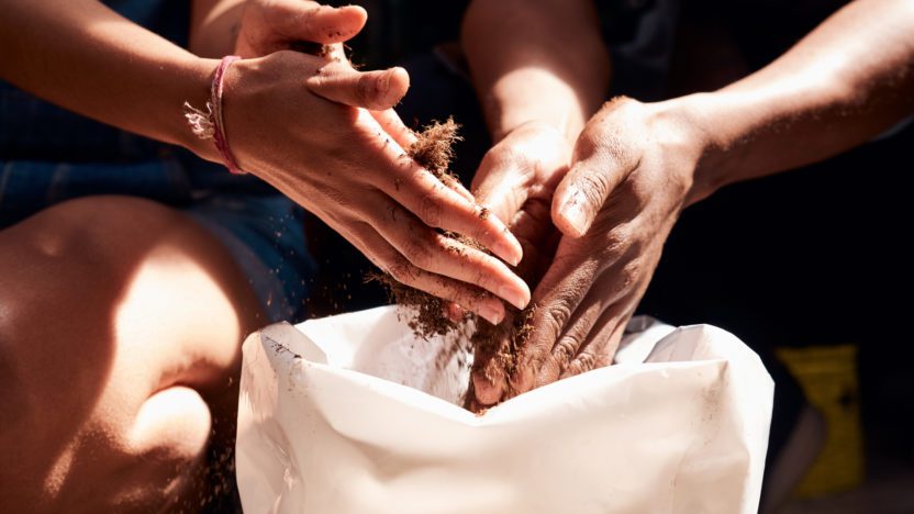 Simple Secrets for a Lush Garden: Learn Some Easy, Breezy Soil Science